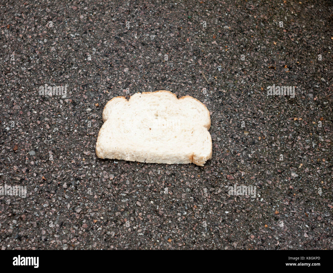 close up of white bread on wet pavement floor dropped Stock Photo - Alamy