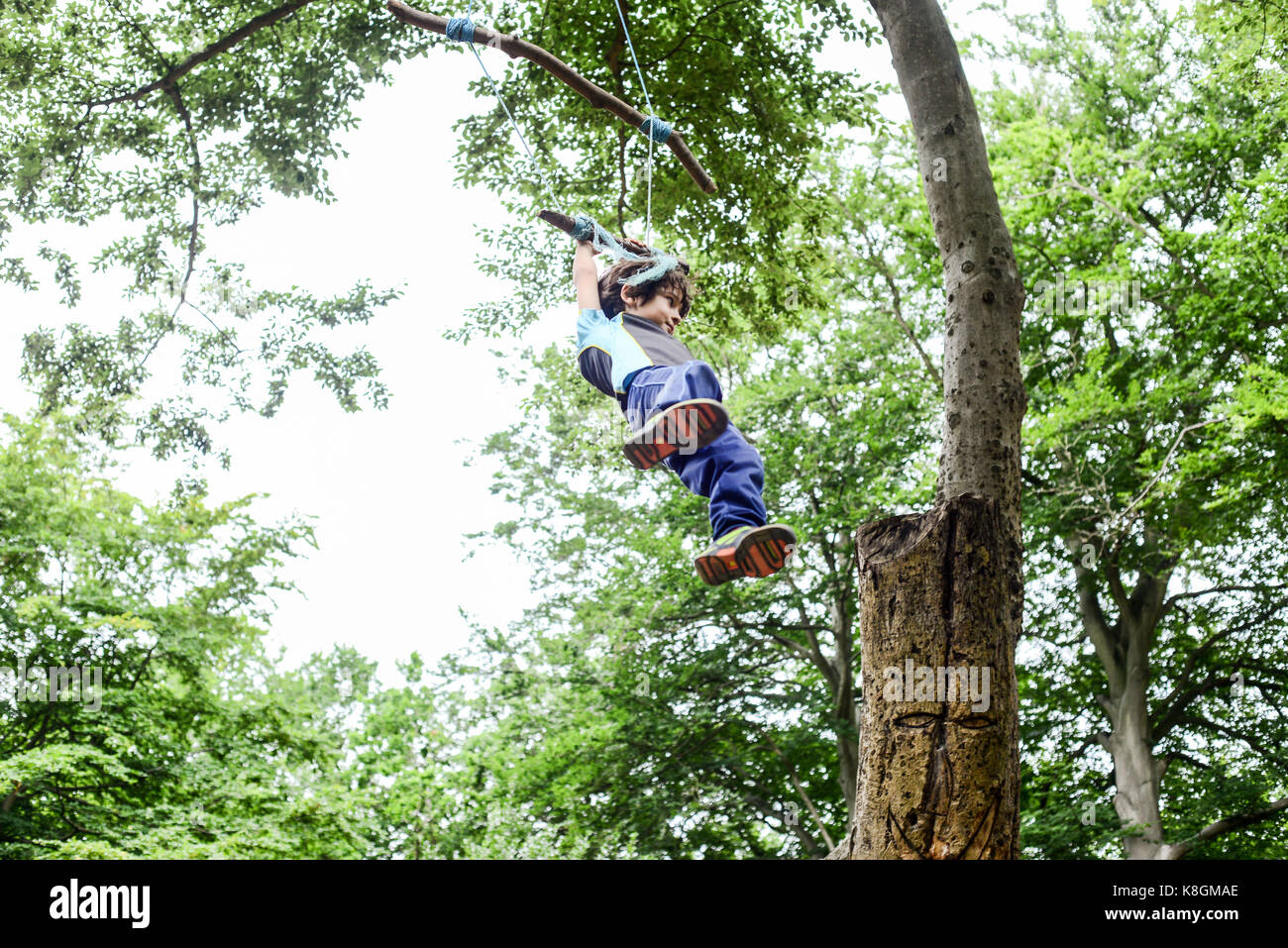 Tree Swing High Resolution Stock Photography and Images - Alamy
