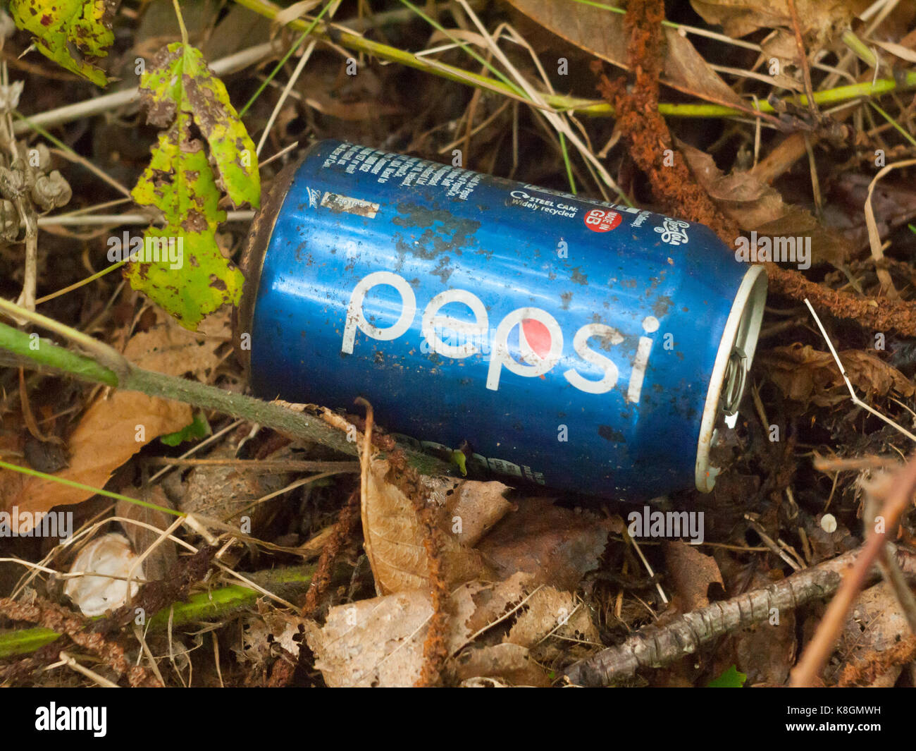close up discarded pepsi can rubbish on forest floor Stock Photo - Alamy