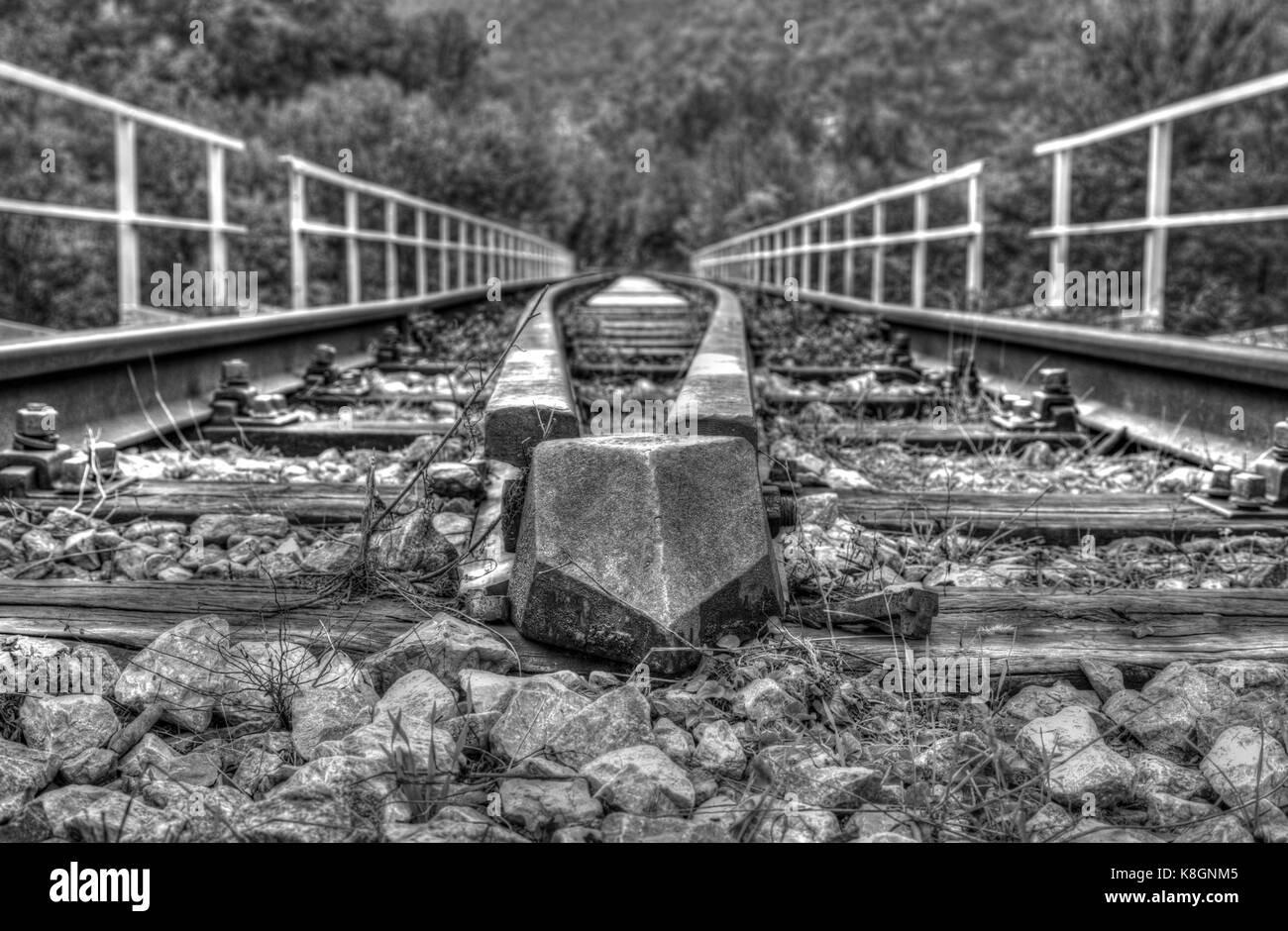 Railroad in black and white closeup Stock Photo - Alamy