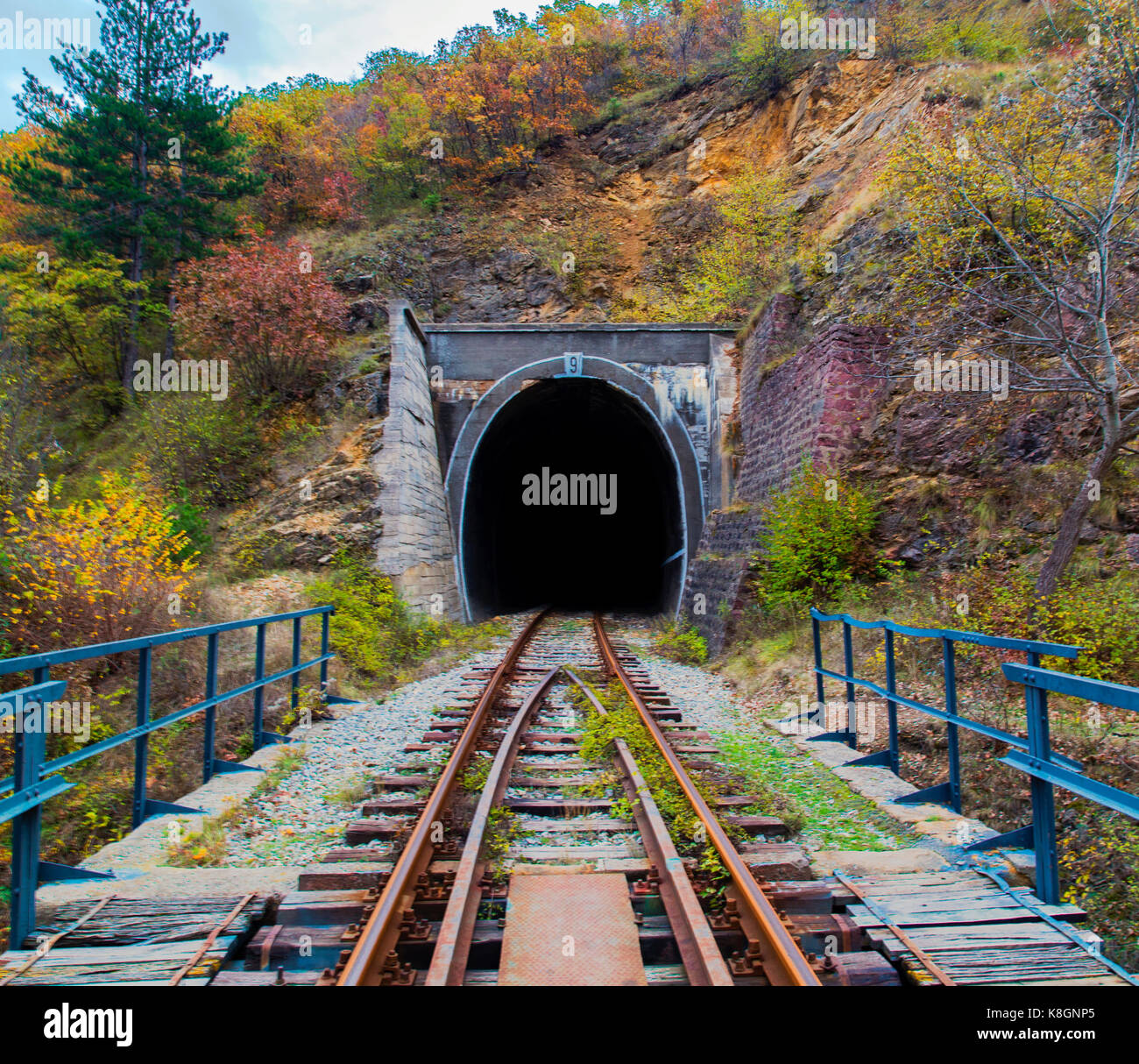 Railroad tunnel in the mountain and colorful autumn forest Stock Photo ...