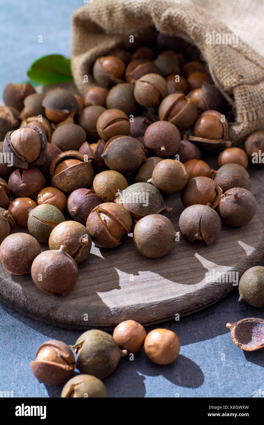 Australian macadamia nuts, unpeeld fresh harvest close up Stock Photo ...