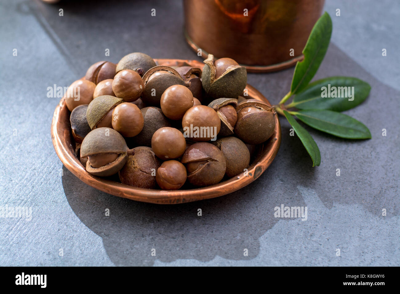 Australian macadamia nuts, unpeeld fresh harvest close up Stock Photo ...