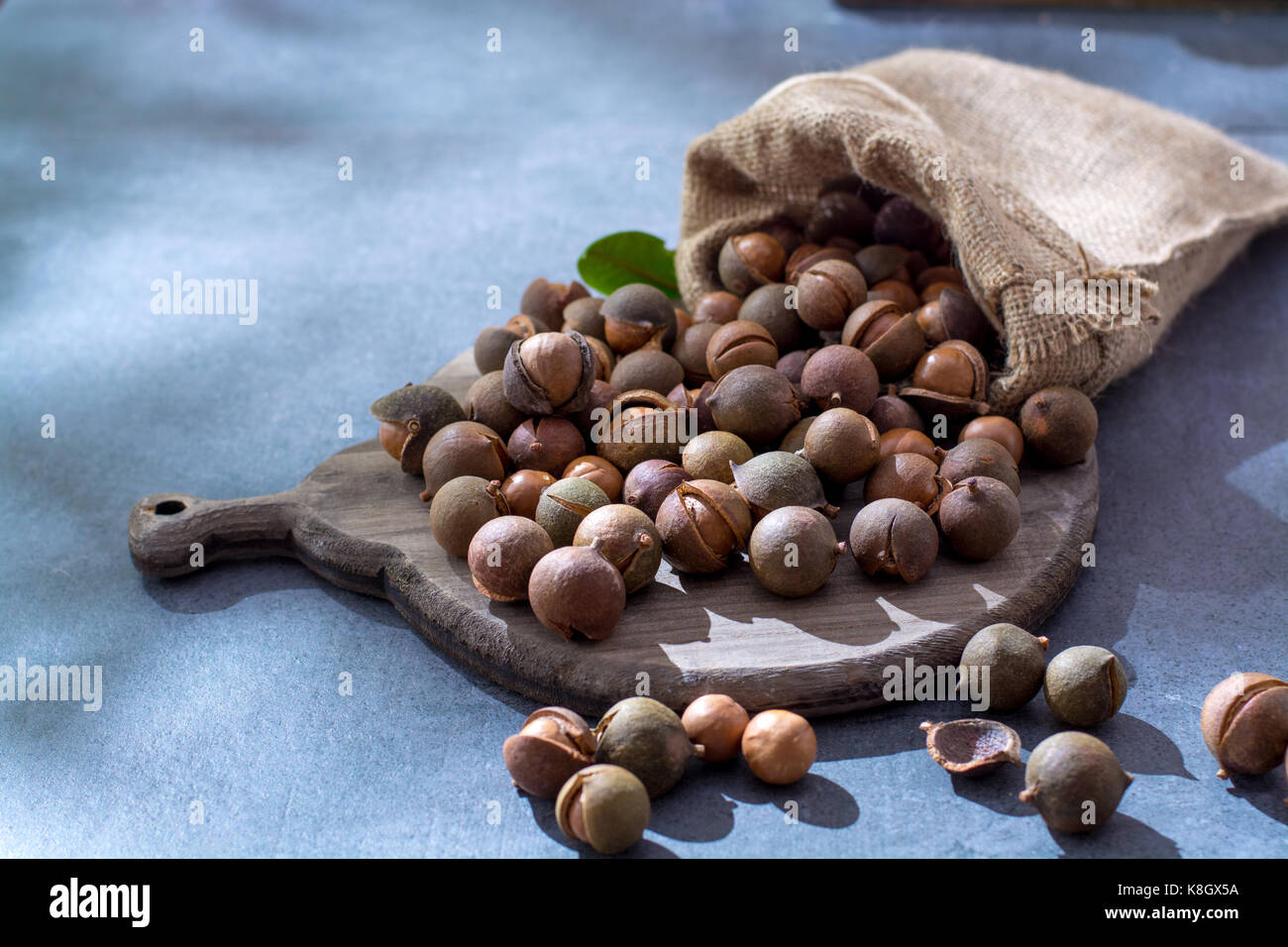 Australian macadamia nuts, unpeeld fresh harvest close up Stock Photo ...
