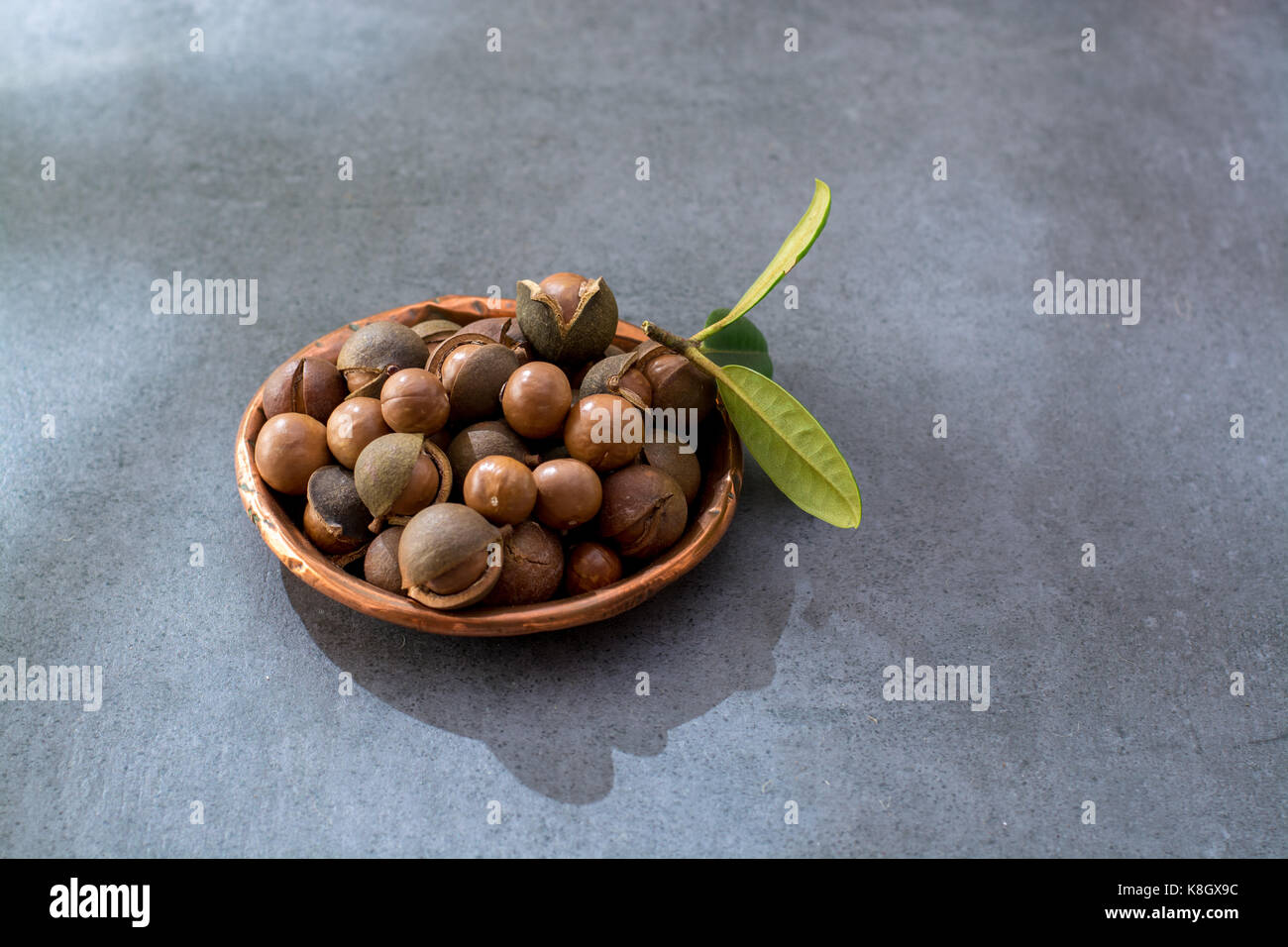 Australian macadamia nuts, unpeeld fresh harvest close up Stock Photo ...