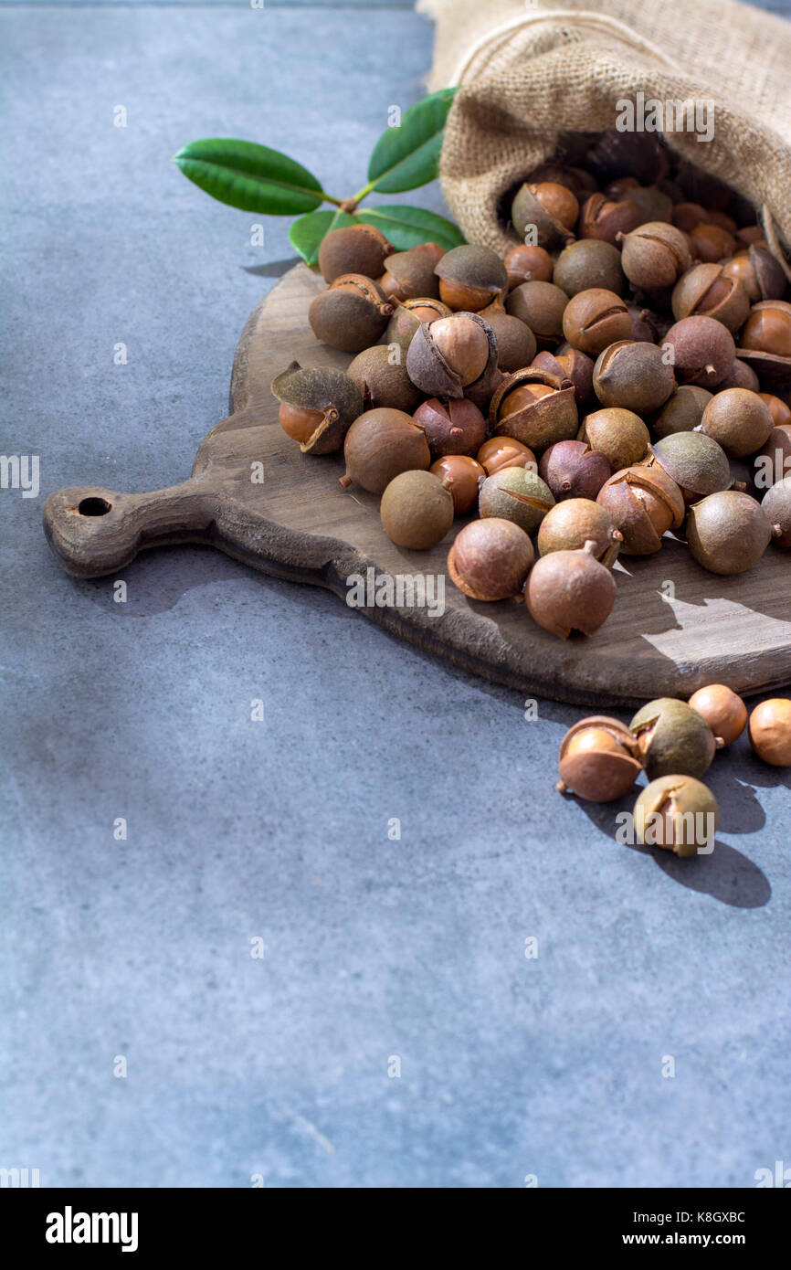 Australian macadamia nuts, unpeeld fresh harvest close up Stock Photo ...