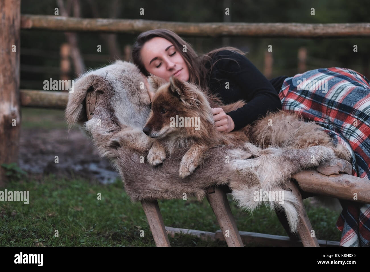 A beautiful woman and her dog nenets shepherd laika sleeping Stock ...