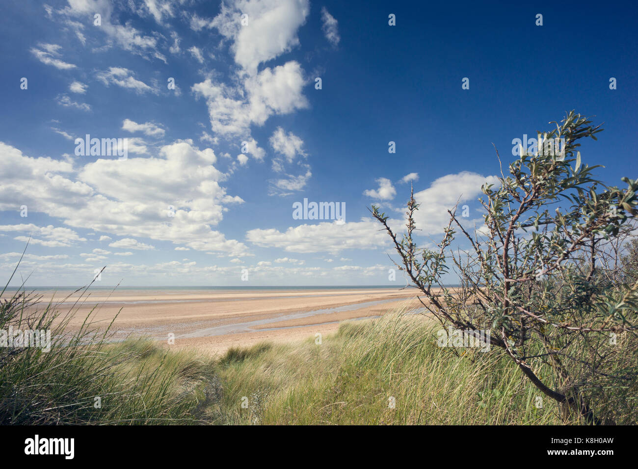 Holme Dunes, North Norfolk, UK Stock Photo - Alamy