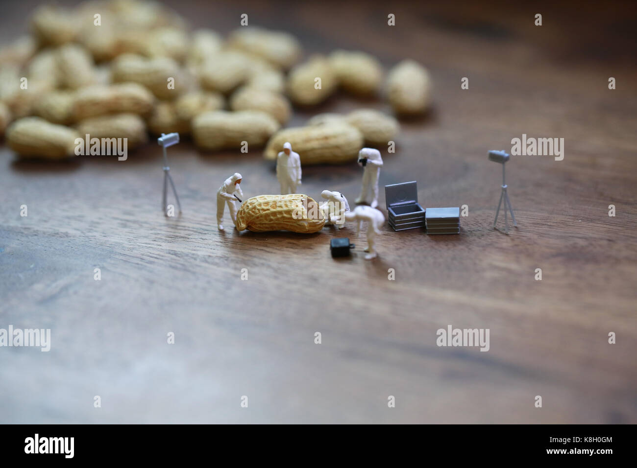 Human peanut hi-res stock photography and images - Alamy