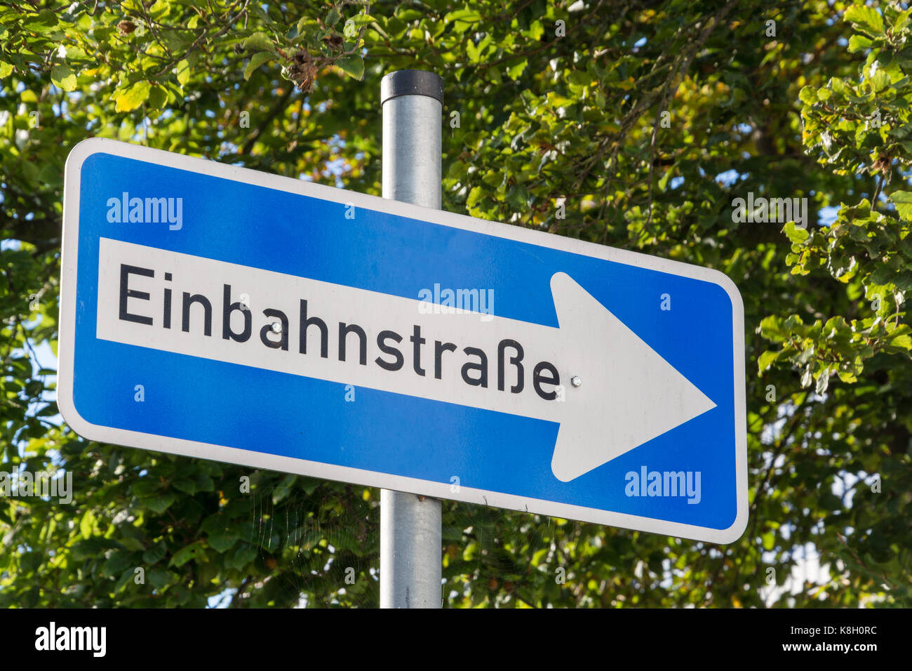 A German One Way street sign with trees in the background Stock Photo ...