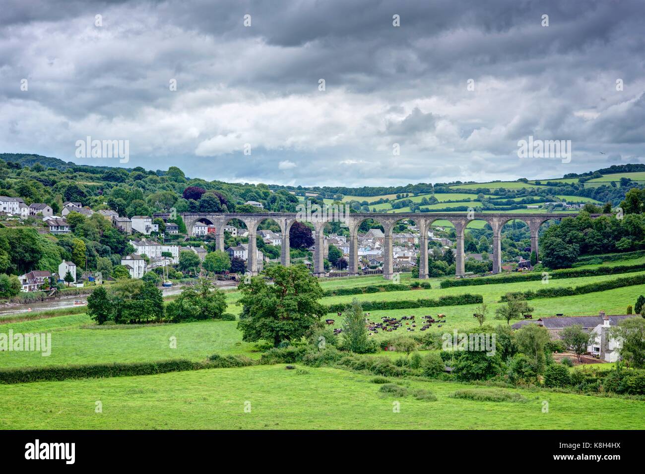 A far reaching landscape view of the great stone arched Calstock ...