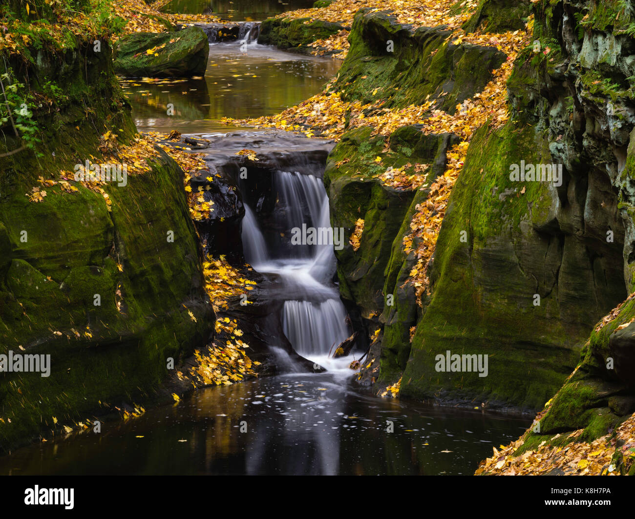 Image of Pewits Nest, a Wisconsin State Natural Area, in all of its ...