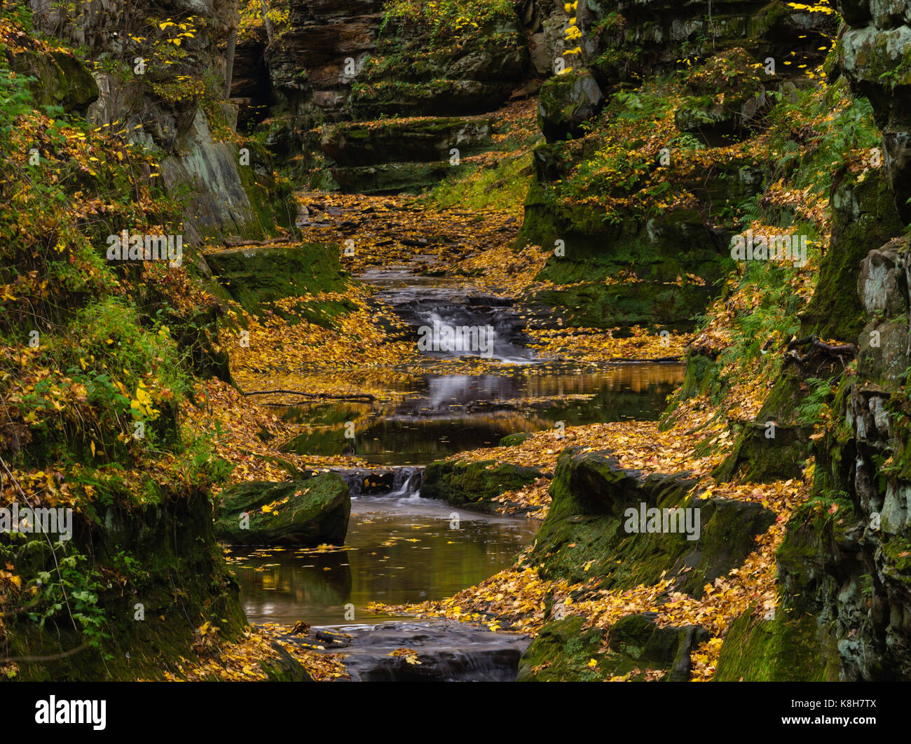 Image of Pewits Nest, a Wisconsin State Natural Area, in all of its ...