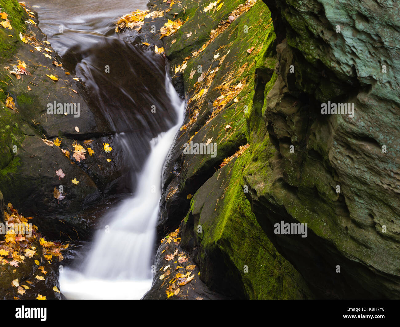 Image of Pewits Nest, a Wisconsin State Natural Area, in all of its ...