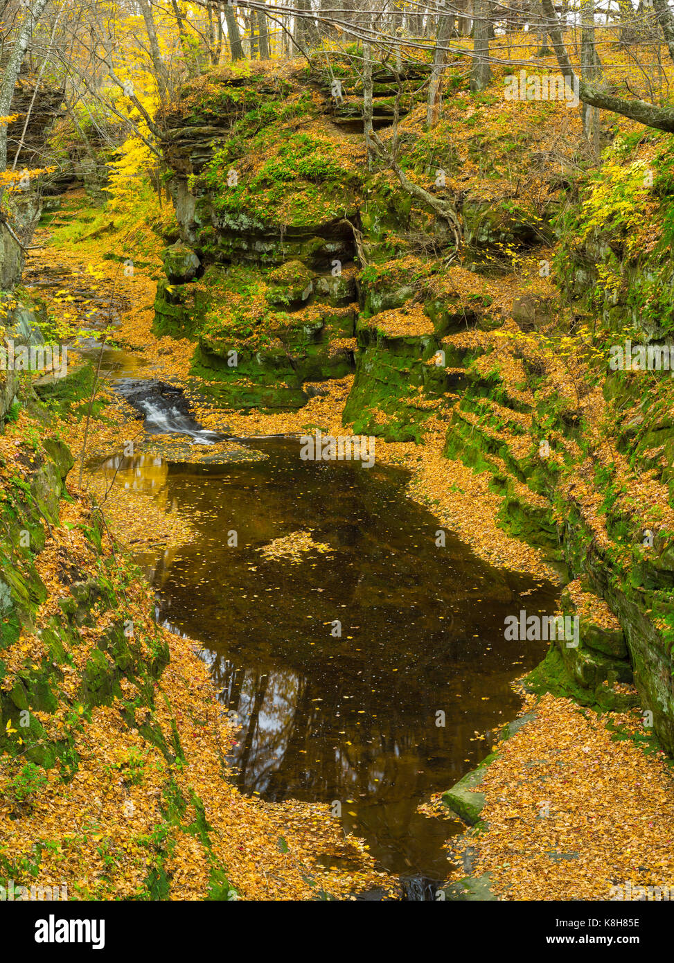 Image of Pewits Nest, a Wisconsin State Natural Area, in all of its ...
