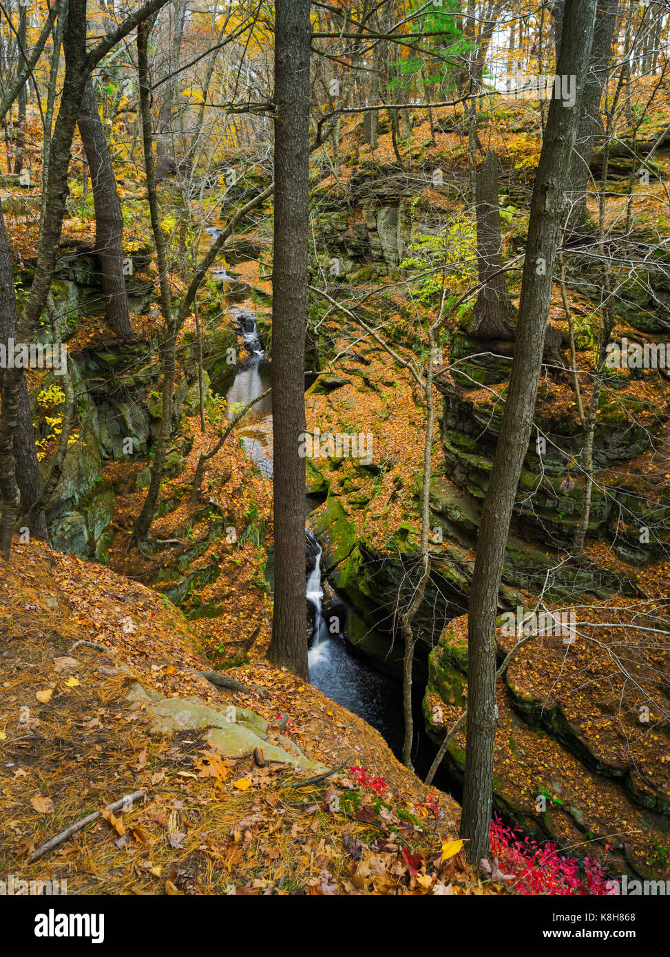 Image of Pewits Nest, a Wisconsin State Natural Area, in all of its ...