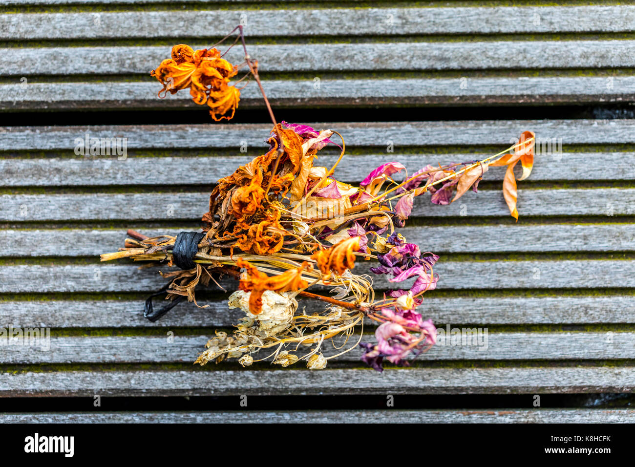 Dried out plants hi-res stock photography and images - Alamy