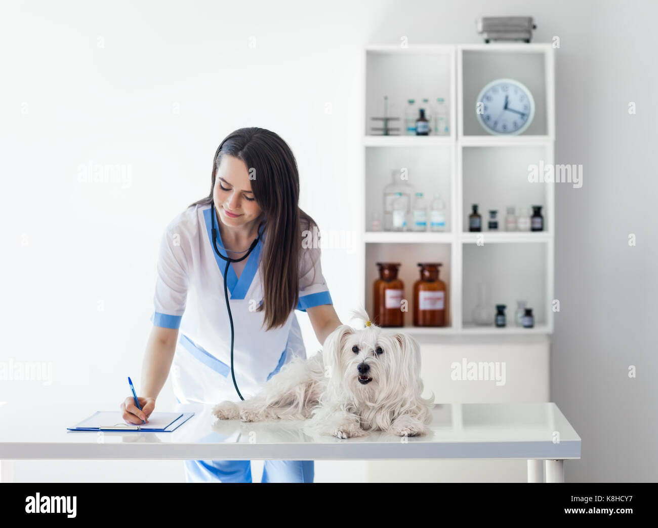 Maltese writing hi-res stock photography and images - Alamy
