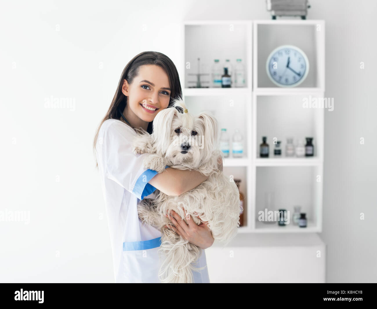 Beautiful smiling veterinarian doctor holding cute white dog. Pet care ...