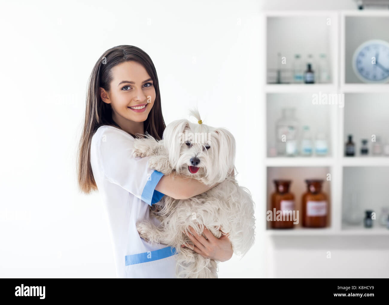 Beautiful smiling veterinarian doctor holding cute white dog. Pet care ...