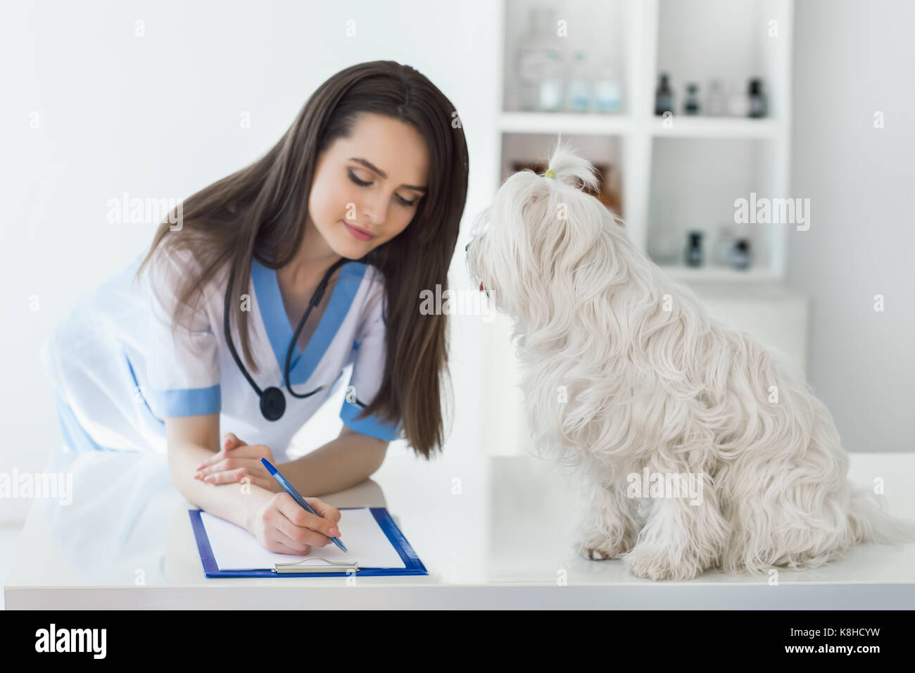 Veterinary prescription hi-res stock photography and images - Alamy