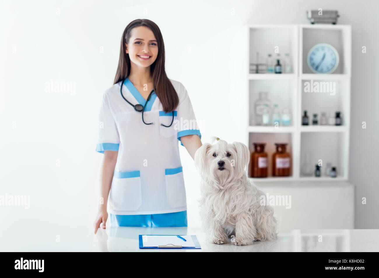 Beautiful smiling veterinarian doctor and cute white dog in vet clinic ...