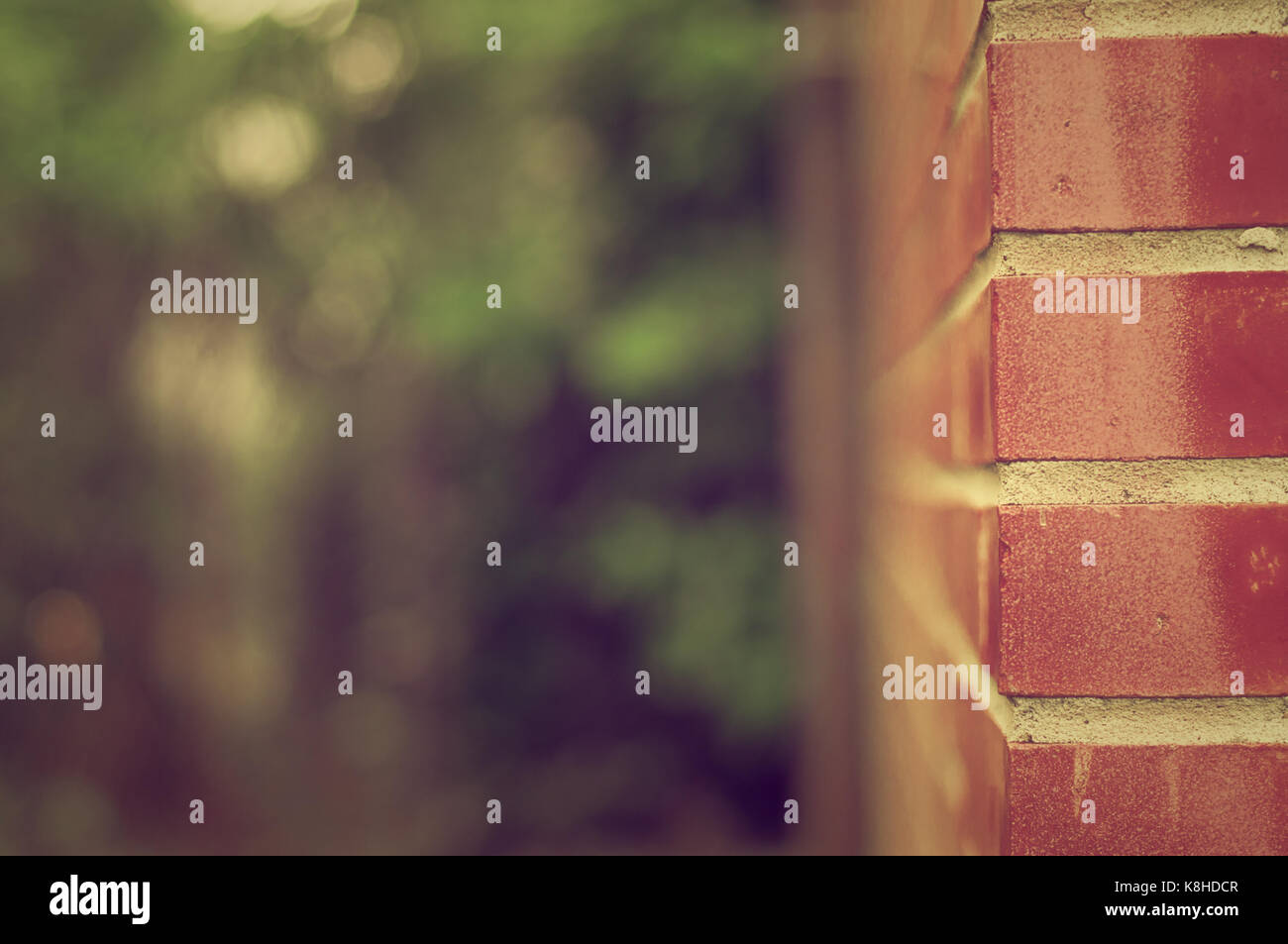 A brick wall is being captured in the foreground while the background ...