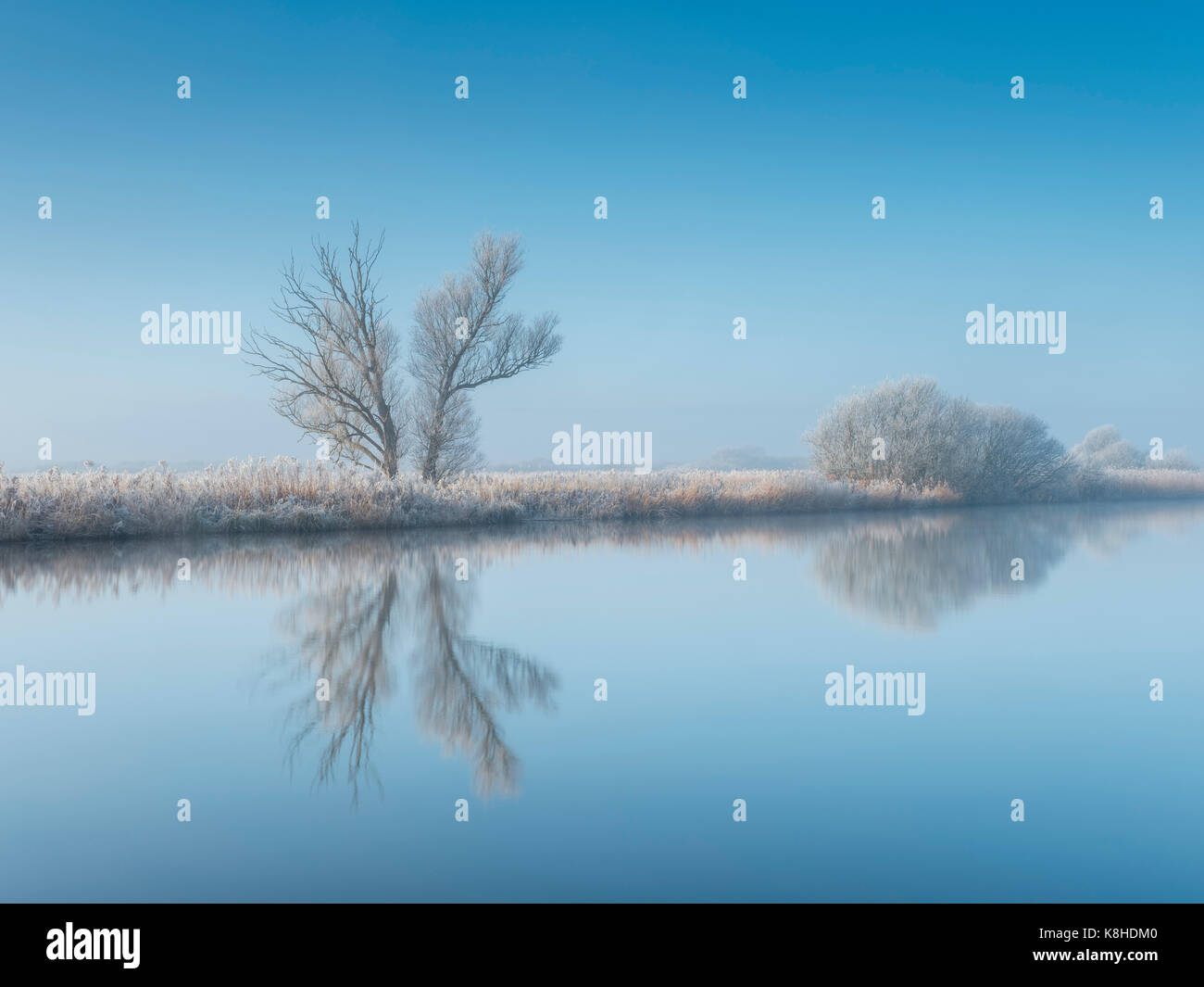 Clam reflections hi-res stock photography and images - Alamy