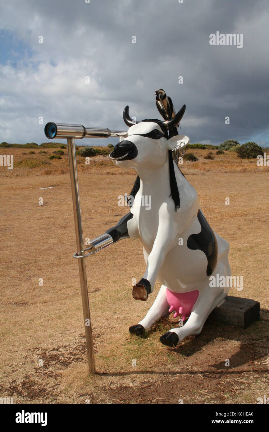 Pirate animals hi-res stock photography and images - Alamy