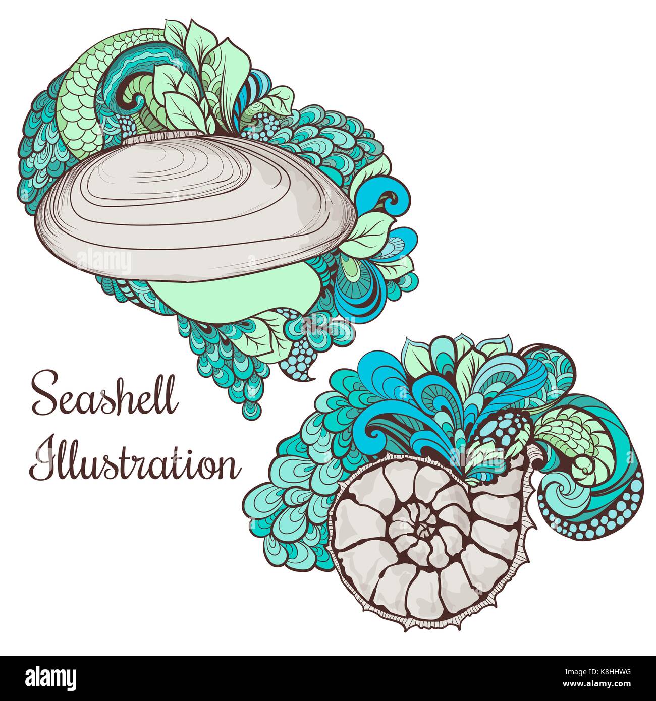 Two seashells isolated on white background with swirls and leaves ...