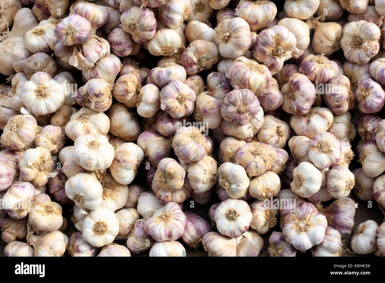 Garlic seed pod hi-res stock photography and images - Alamy