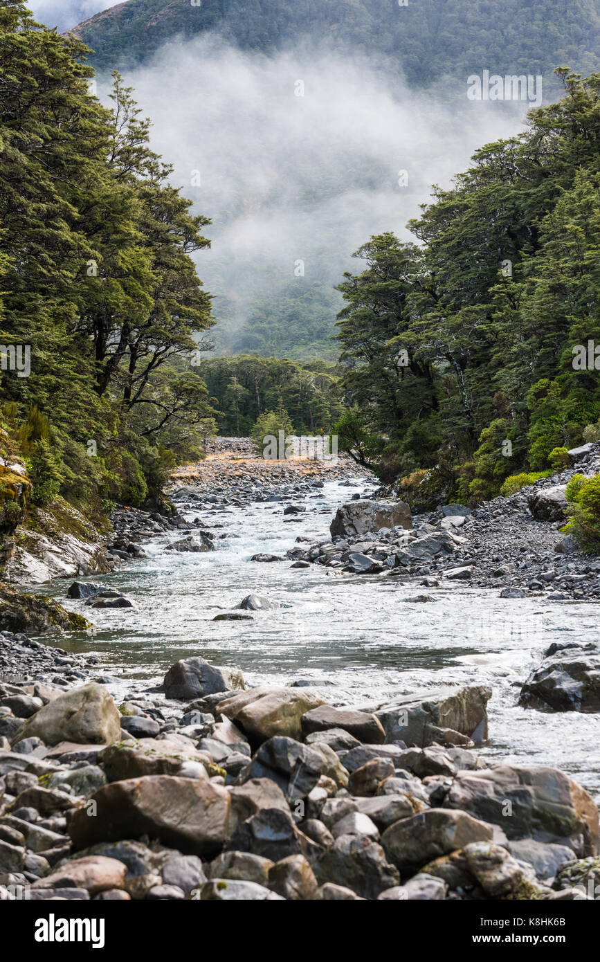 The Hawdon Valley, Arthurs Pass New Zealand Stock Photo - Alamy