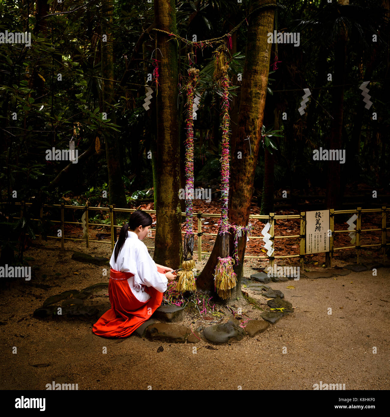 Rear view of priestess praying by trees Stock Photo - Alamy