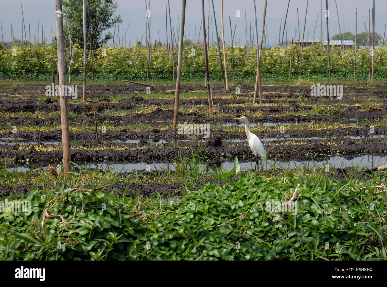 Burma ship myanmar ship hi-res stock photography and images - Alamy