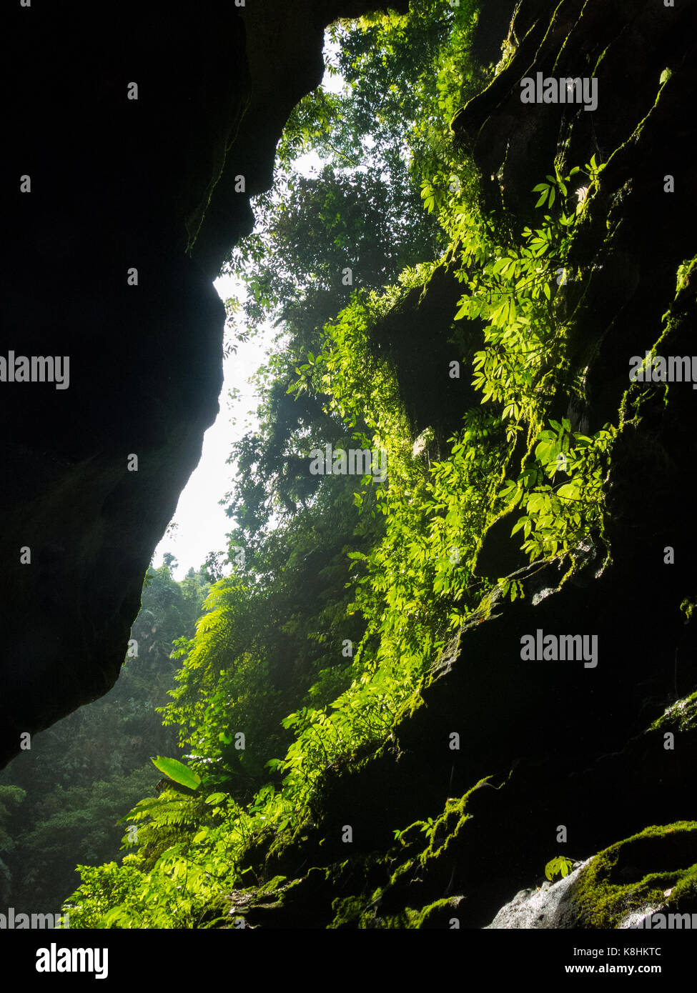Millennium cave vanuatu hi-res stock photography and images - Alamy
