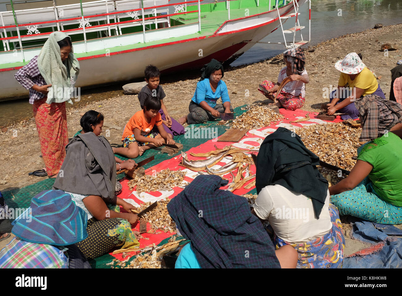 Burma, Myanmar: preparation of dried fish in a fishing village on the ...