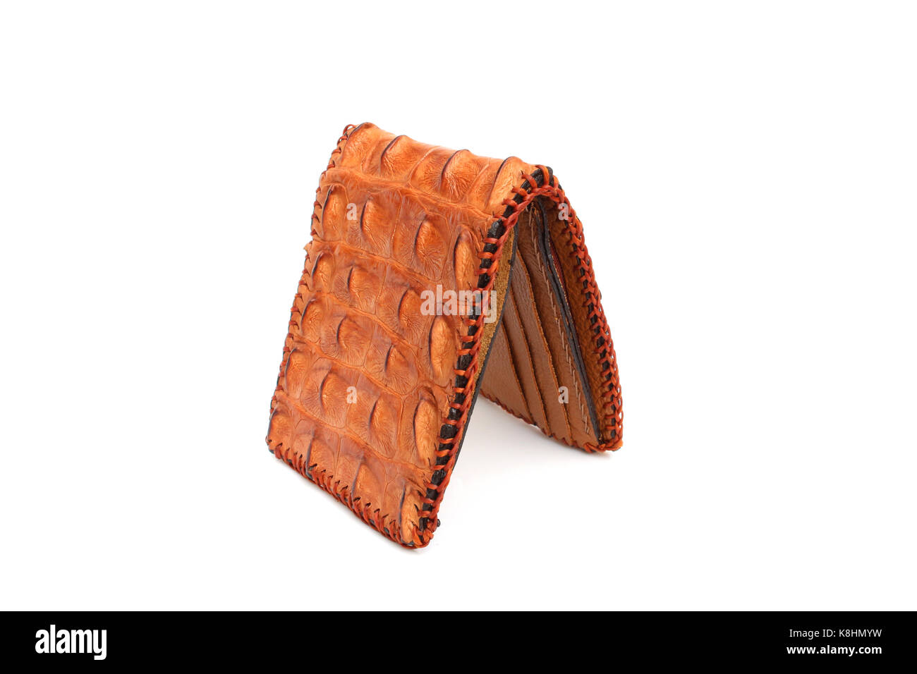 Crocodile alligator money hi-res stock photography and images - Alamy