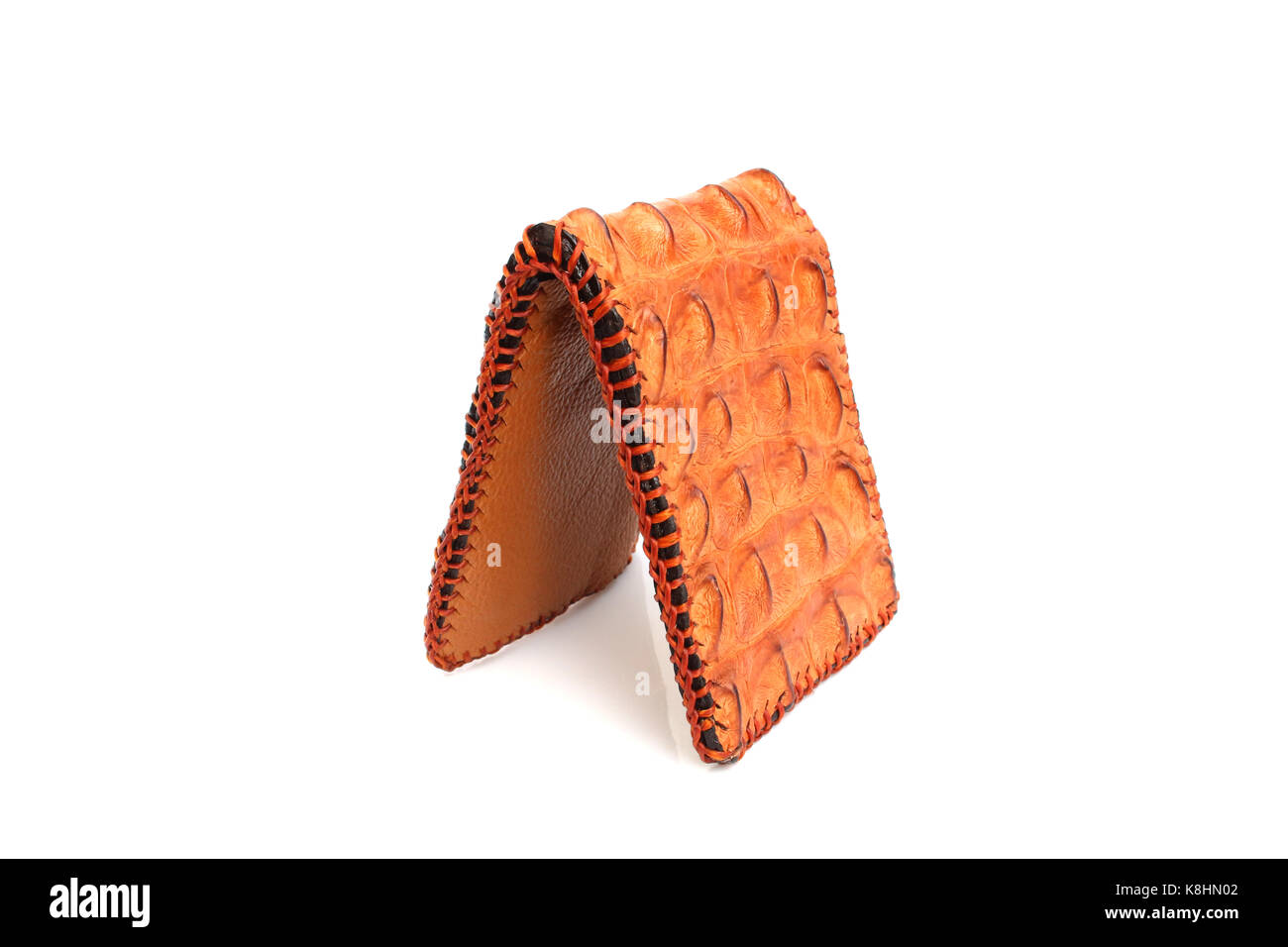 Crocodile alligator money hi-res stock photography and images - Alamy