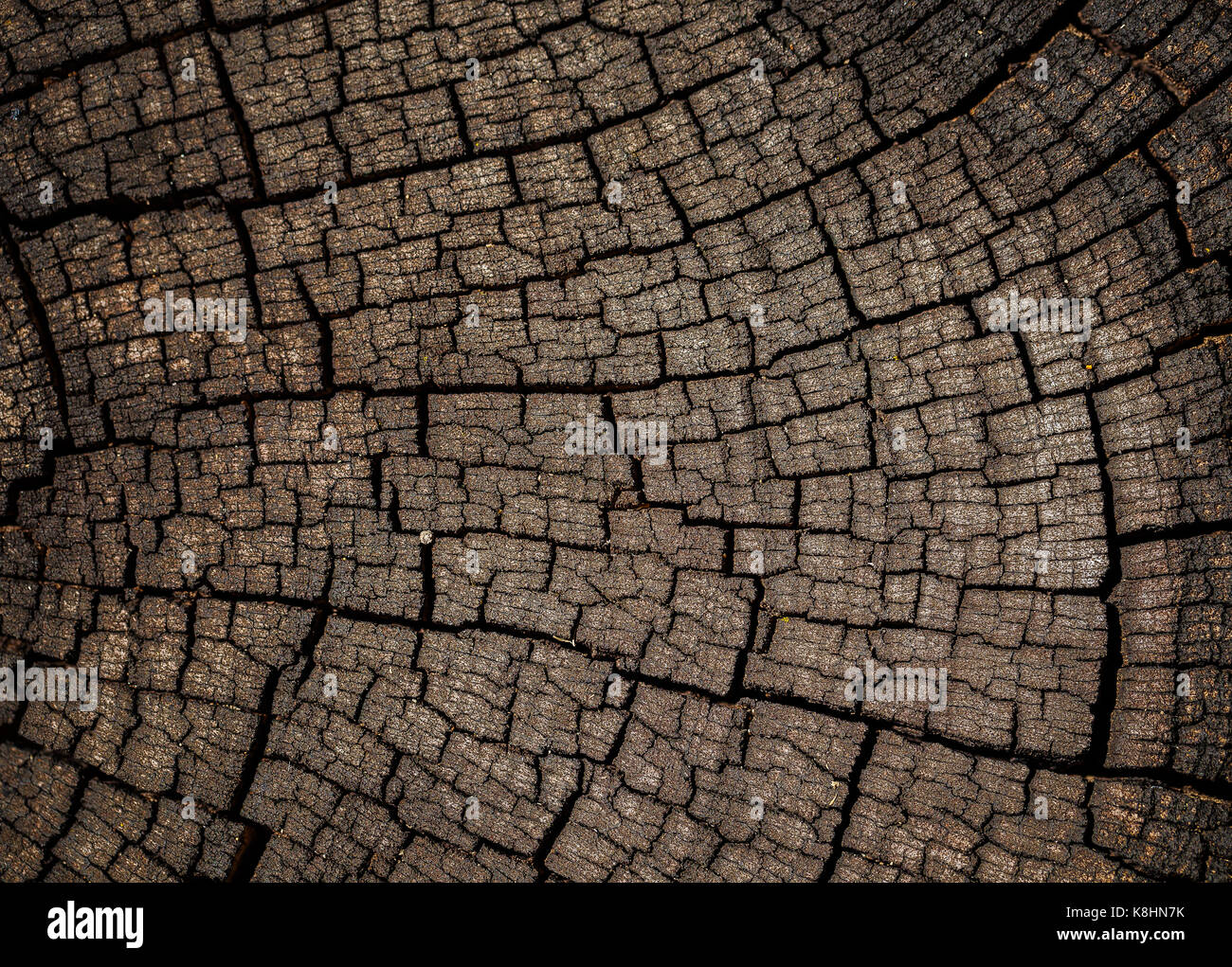 Patterns of old wooden surfaces that crack naturally Stock Photo - Alamy