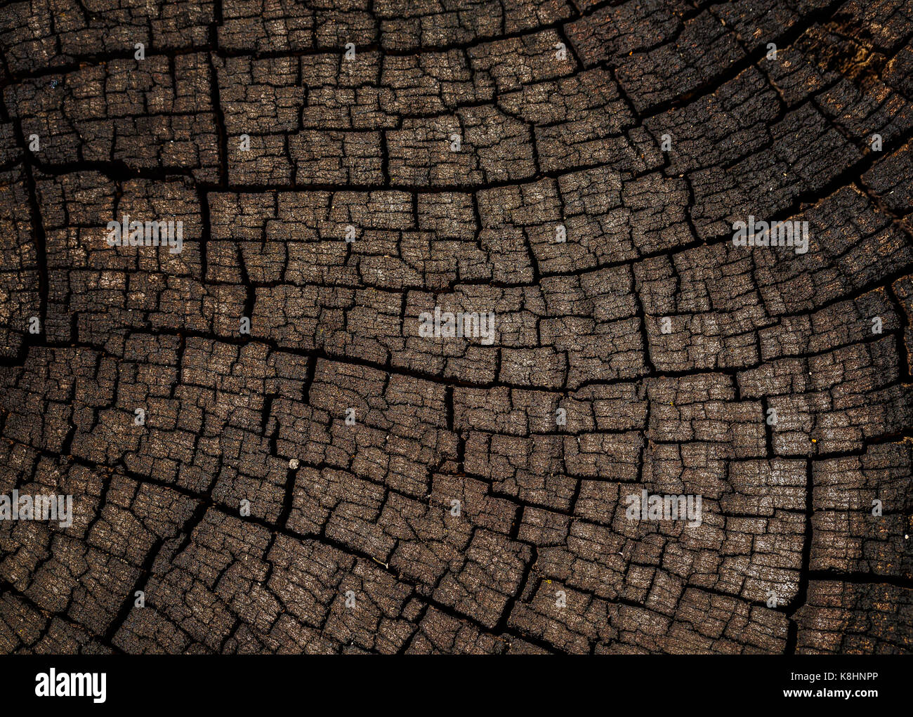 Patterns of old wooden surfaces that crack naturally Stock Photo - Alamy