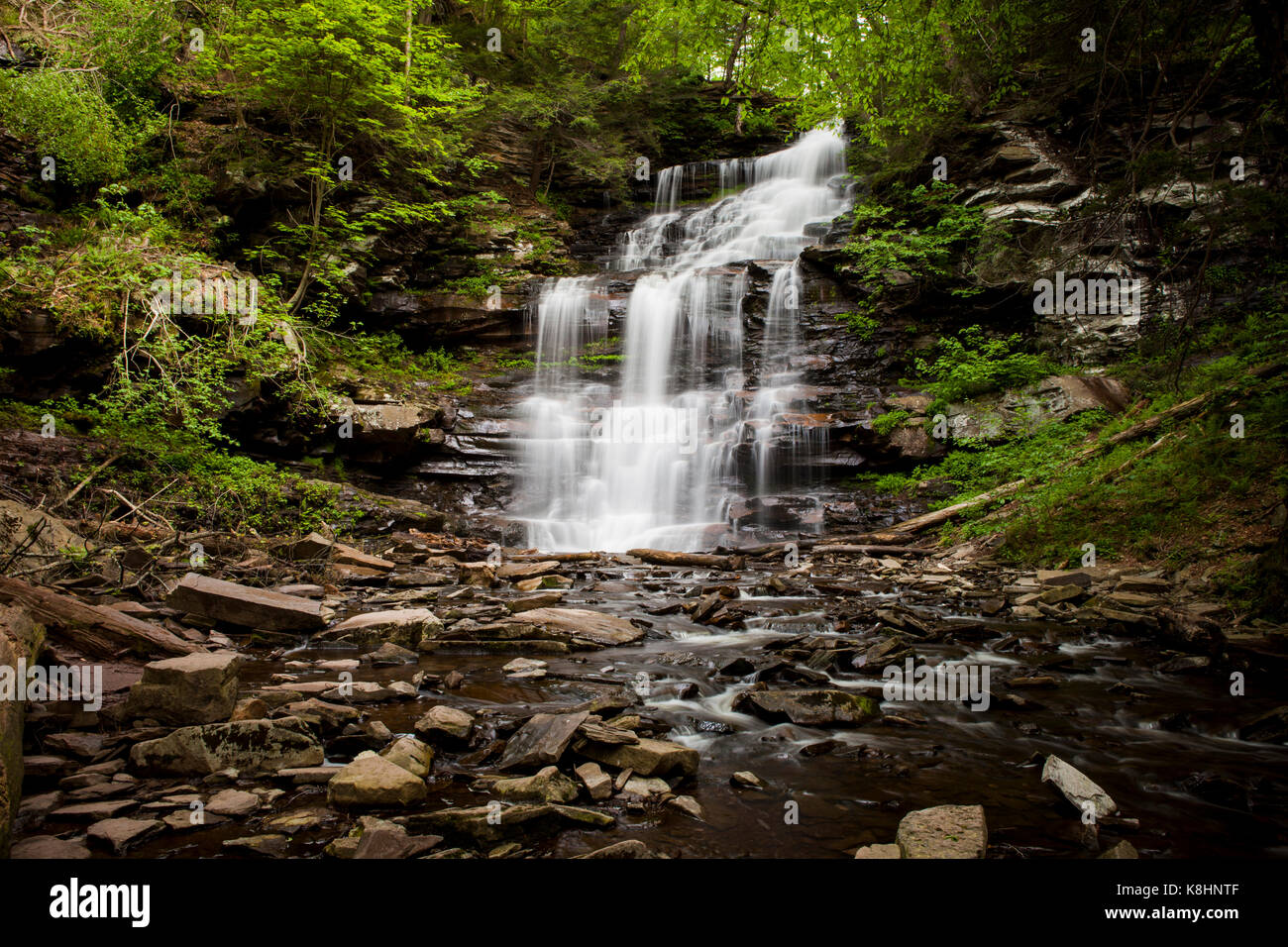 Waterfall amidst forest at Redwood National and State Parks Stock Photo ...