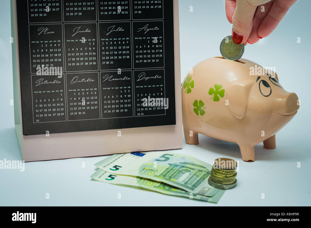 Great concept of economy, calendar, piggy bank, Euro money notes. Woman ...