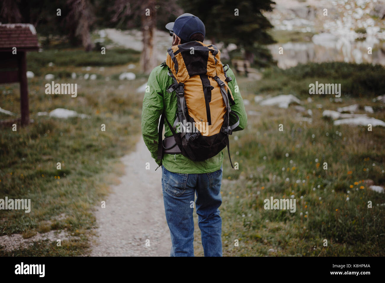 Rear view of hiker with backpack standing on field Stock Photo - Alamy