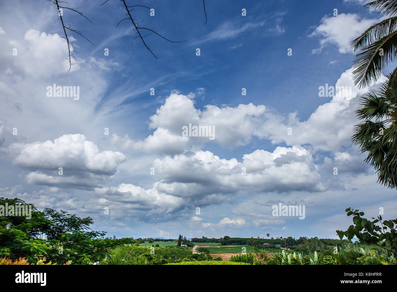 Vineyard with sky with clouds Stock Photo - Alamy