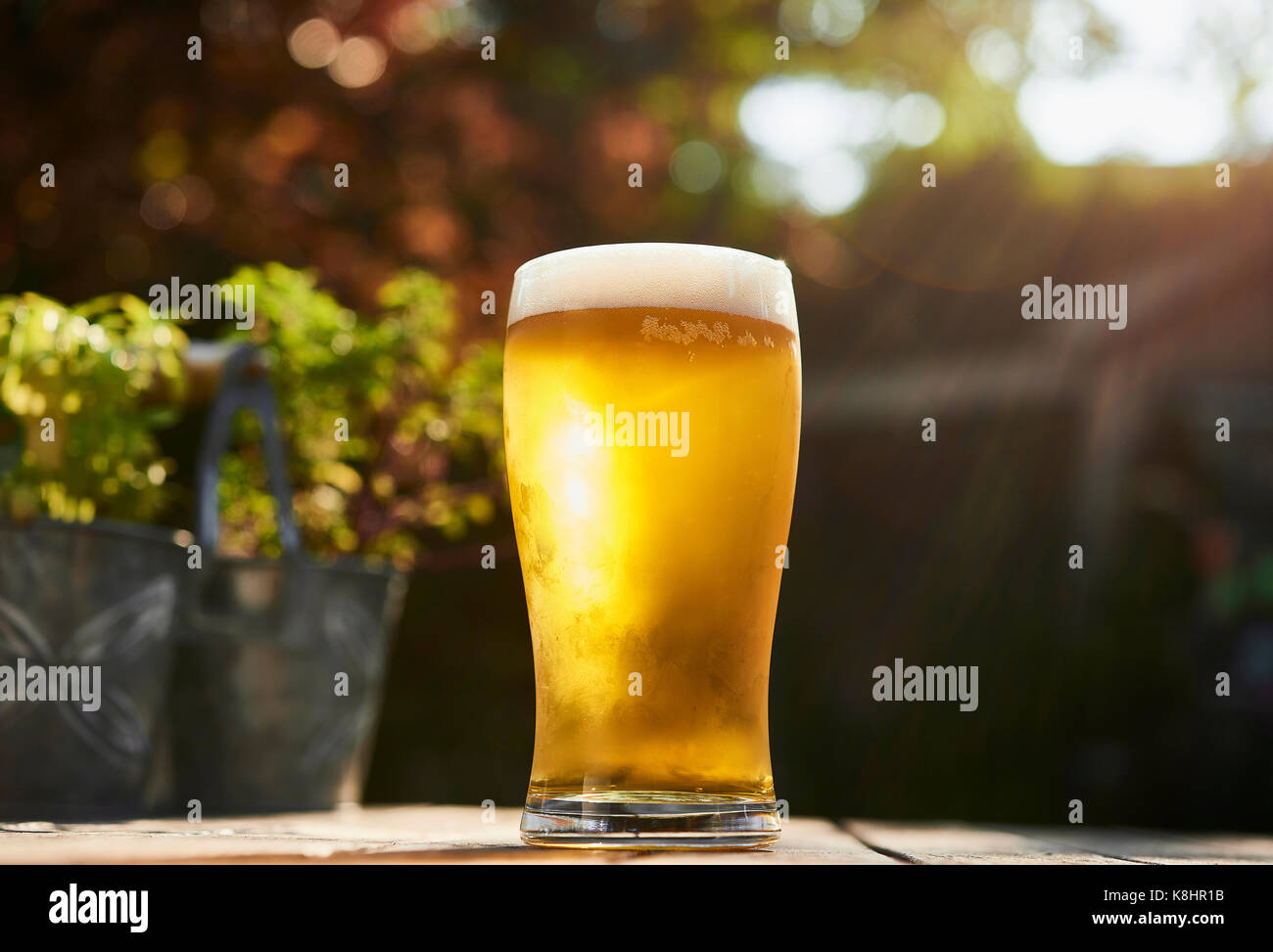 Close-up of beer on table Stock Photo - Alamy