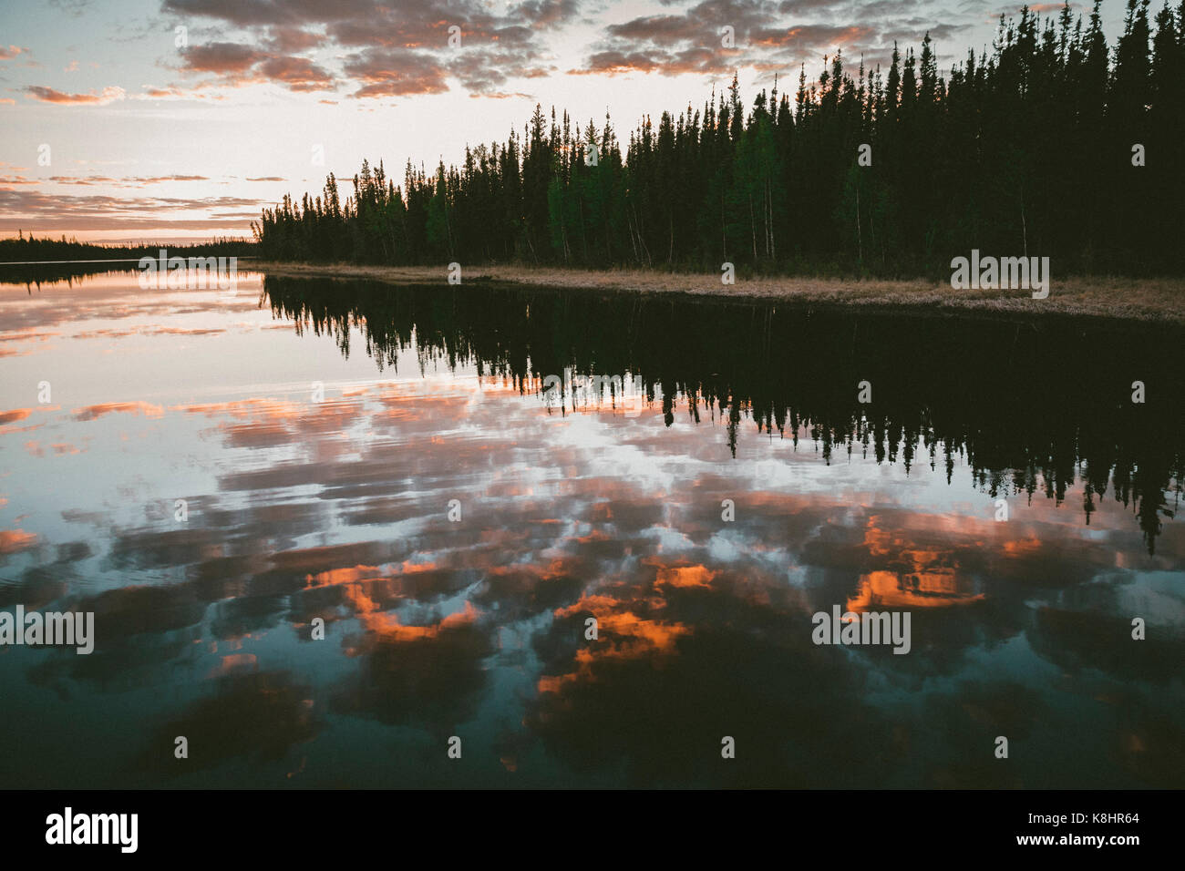 Symmetry nature hi-res stock photography and images - Alamy