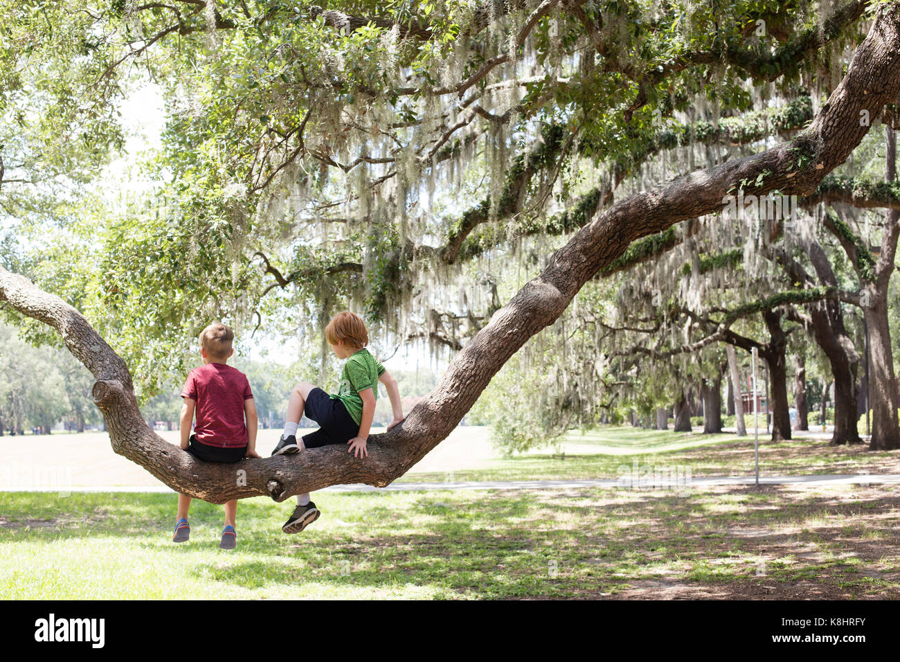 Brothers sitting on branch at park Stock Photo - Alamy