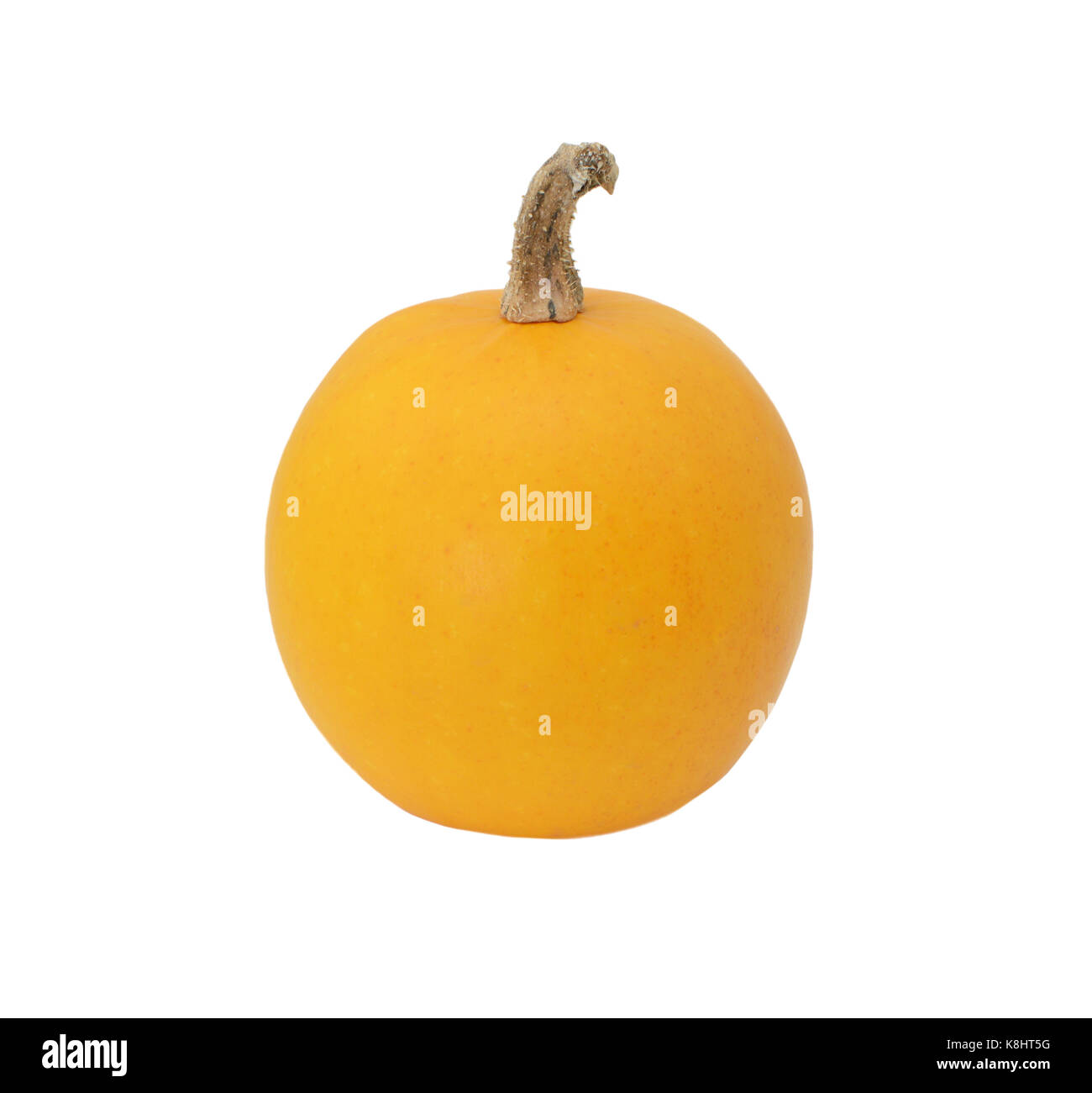 Smooth-skinned orange ornamental gourd, isolated on a white background ...
