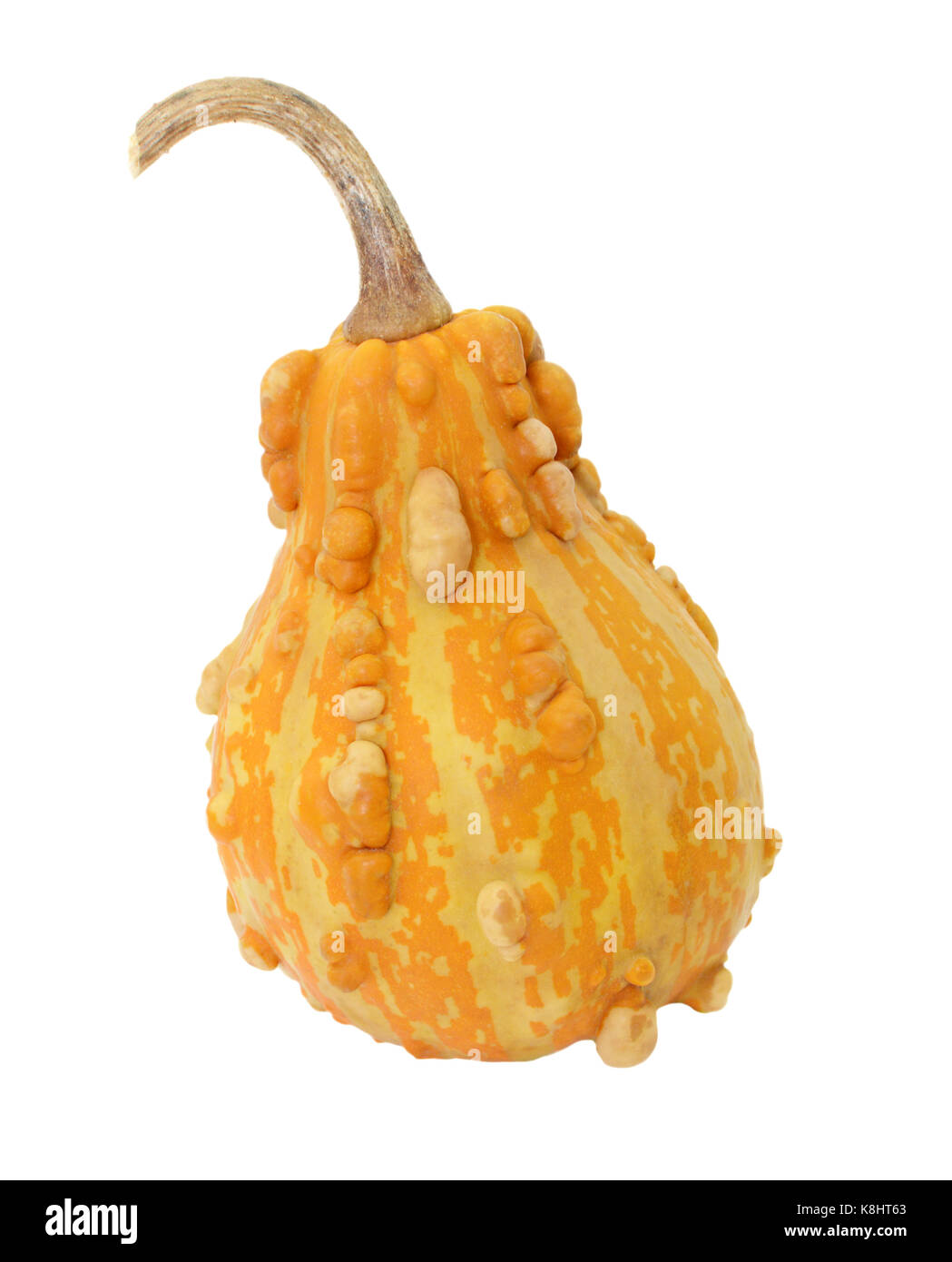 Dark orange pear-shaped ornamental gourd with yellow stripes, isolated ...