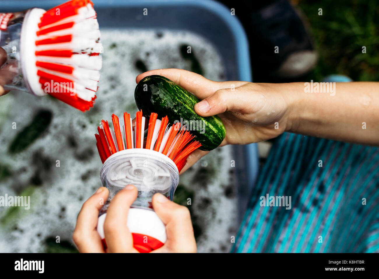 Cropped hands of boy cleaning cucumber with brush Stock Photo - Alamy